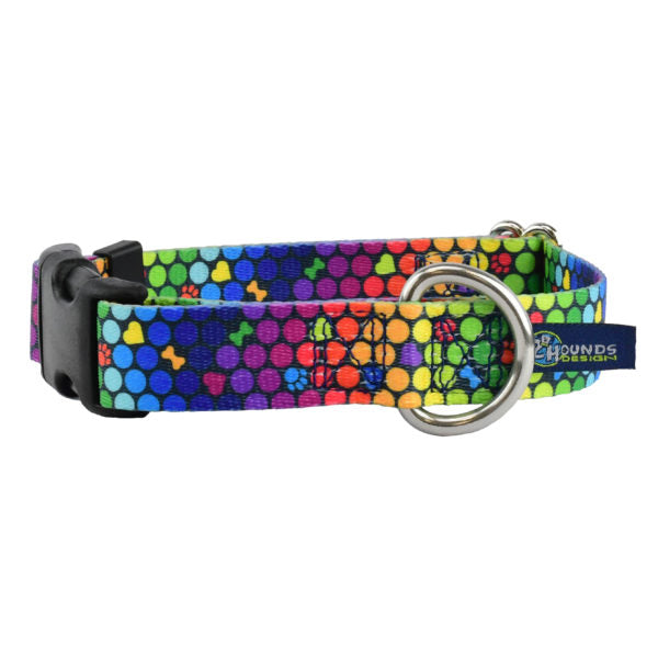 ROY G BIV Dog Collar – EarthStyle – 2 Hounds Design