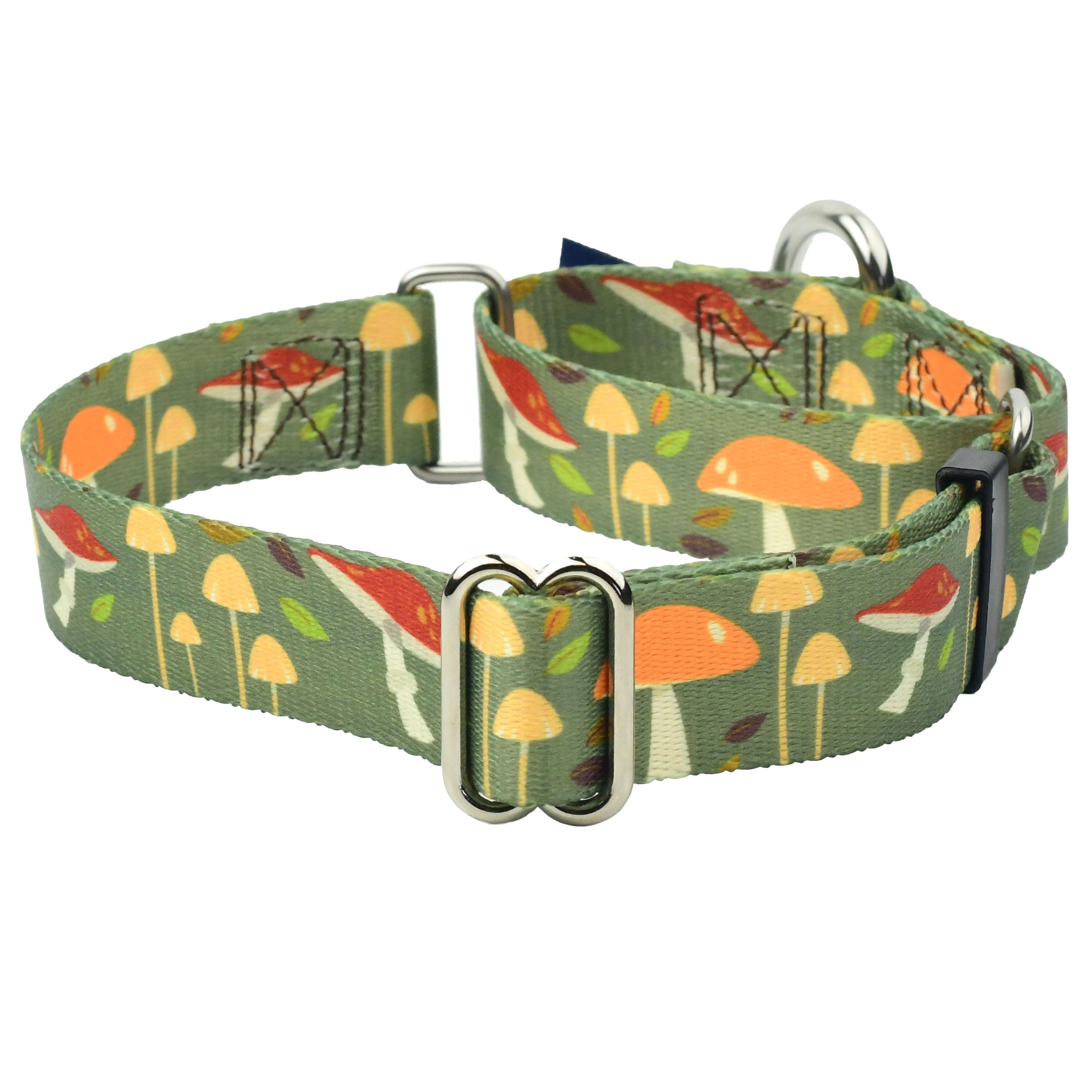 Forest Floor Martingale Dog Collar – EarthStyle - 2 Hounds Design