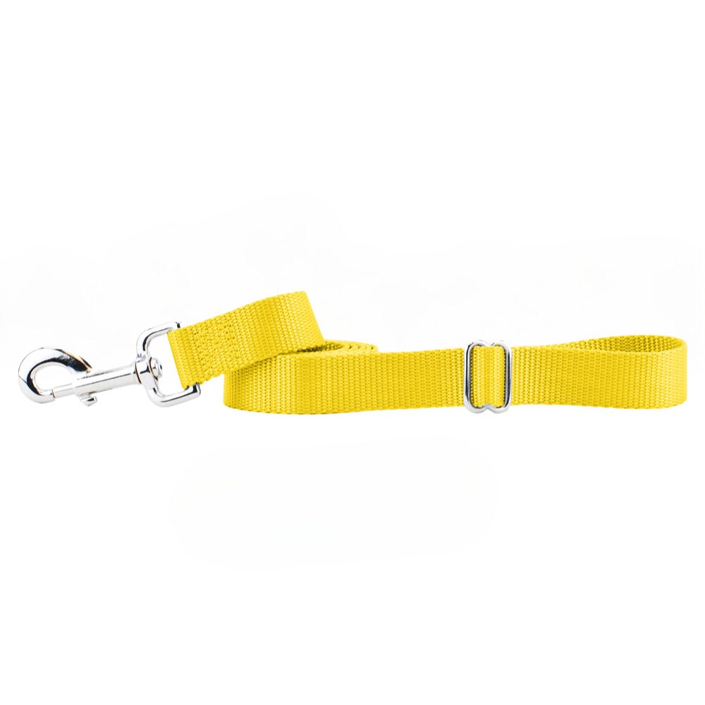 Yellow Nylon Dog Leash - 2 Hounds Design